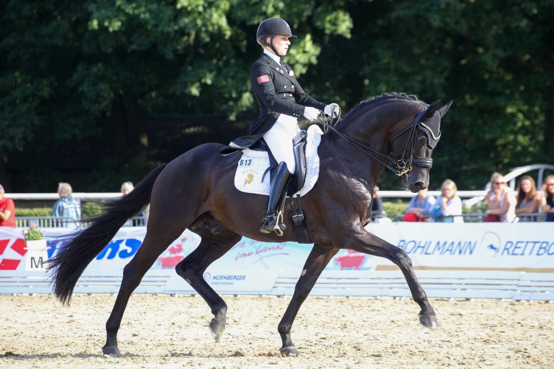 Morricone | Yancey Farms